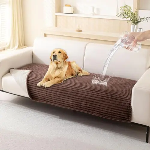 Best Non Slip Cover For Leather Sofa - 2026 Reviews - Going Like Sixty